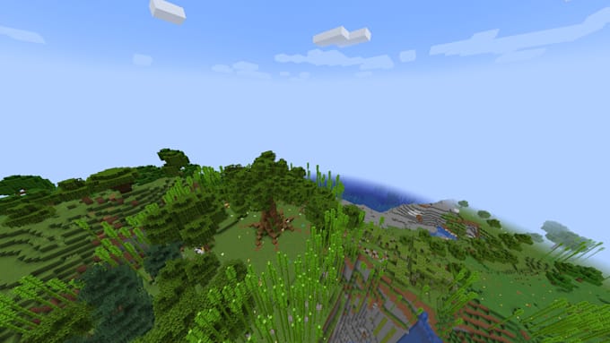 Create you your custom minecraft map or skin by Lost_luap | Fiverr