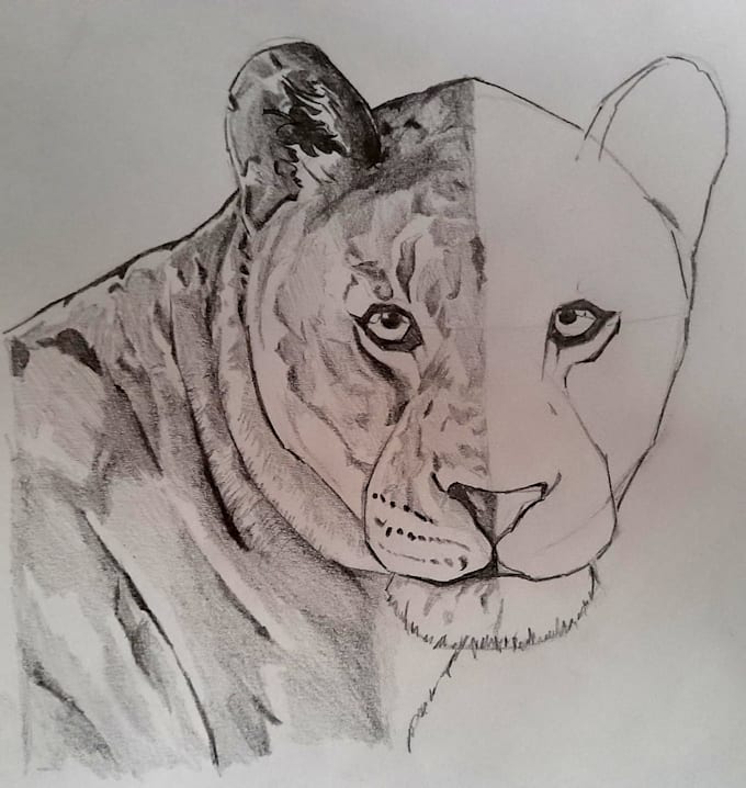 Draw your favorite character by Lethal65 | Fiverr