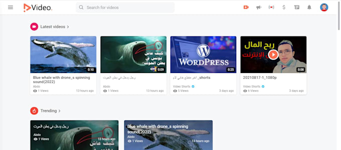 Build a video on demand platform similar to youtube by Stoudiodev | Fiverr