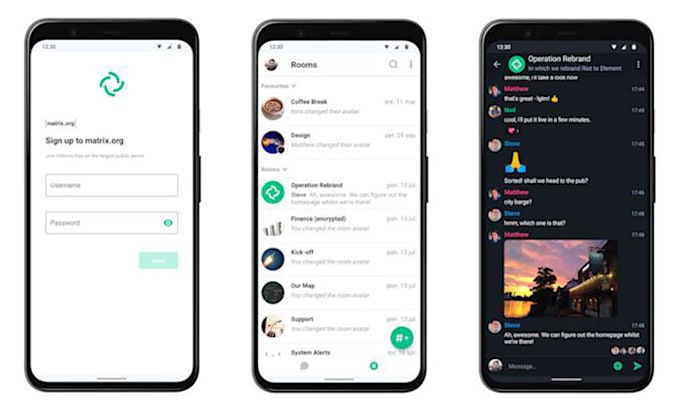 Setup matrix synapse chat server with apps by Rameshkumar2022 | Fiverr
