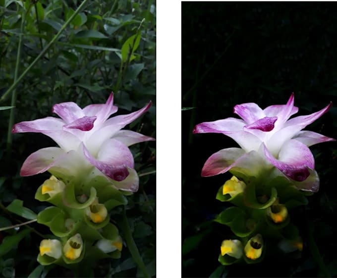 Recolor your pict or any image ,free revision by Vergil857 | Fiverr