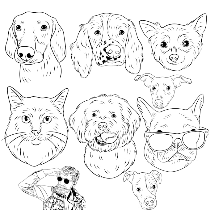 Draw vector line art dog or pet portraits by Zain_4 | Fiverr