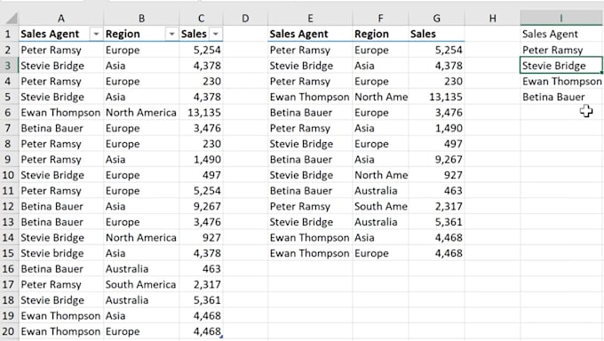 Clean and sort your excel database by Aminansari04 | Fiverr