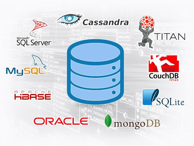 Do sql queries, sql database project, er diagram by Muhammadafaq134 | Fiverr