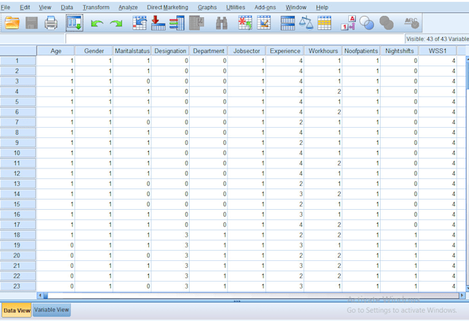 Create a complete spss sheet and do data entry for you by ...