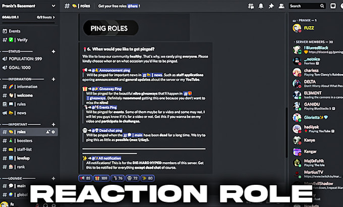Create a clean discord server with every detail perfected by ...