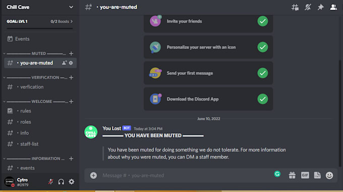 Make a discord server with custom roles and info by Thegamerboy7623 ...
