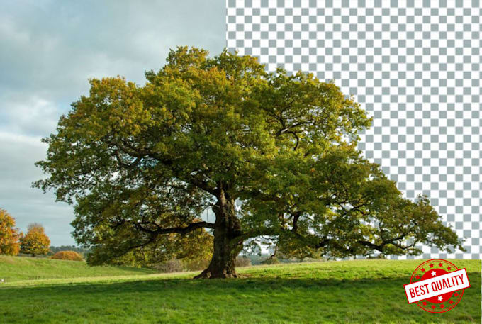 We can professionally remove background quickly from images by ...