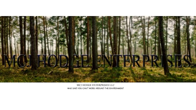 Edit photos, create logos and much more by Graphicsguy407 | Fiverr