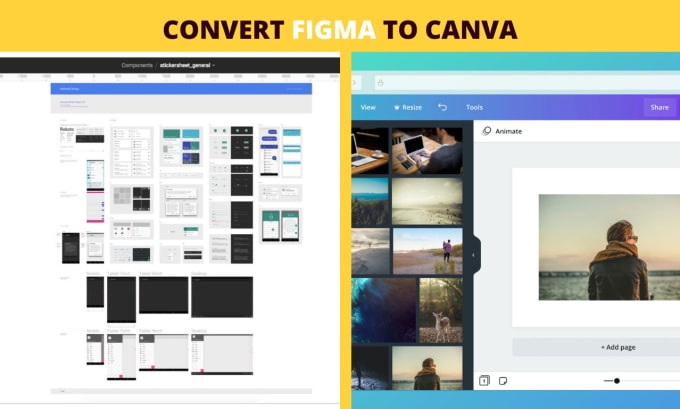 Convert figma designs into canva by Manal_graphics | Fiverr