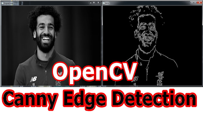 Do image processing computer vision projects using python or matlab by ...