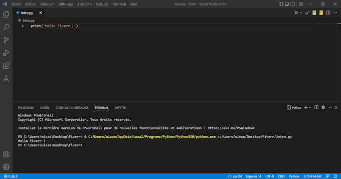 Create a custom python script by Myoga62 | Fiverr