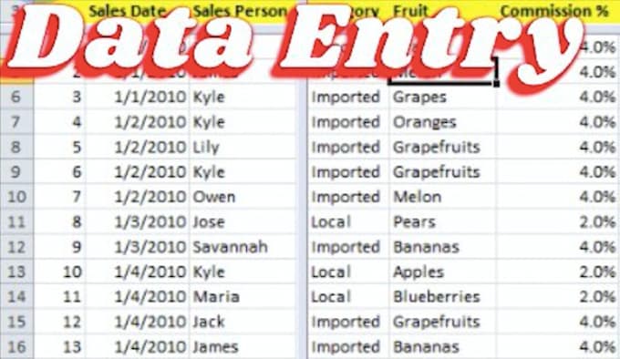 Perform data entry, tax claims, and web research by Harriszahid814 | Fiverr