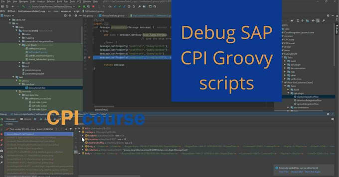 Help you with groovy code scripting in sap cpi by Naveenreddy4 | Fiverr