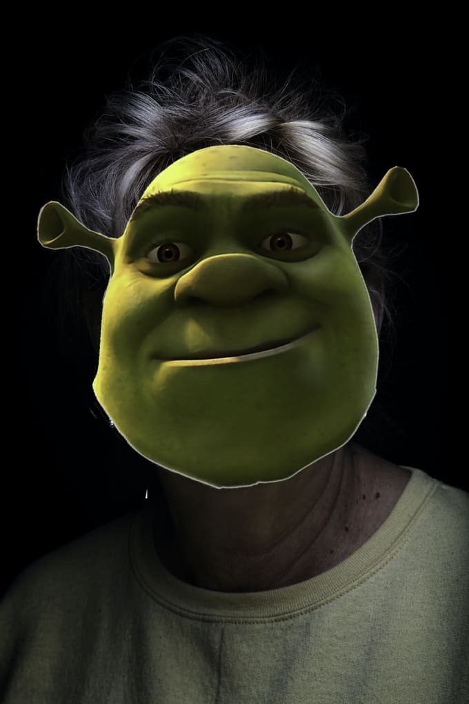 Put shreks face on your face by Wender__ | Fiverr