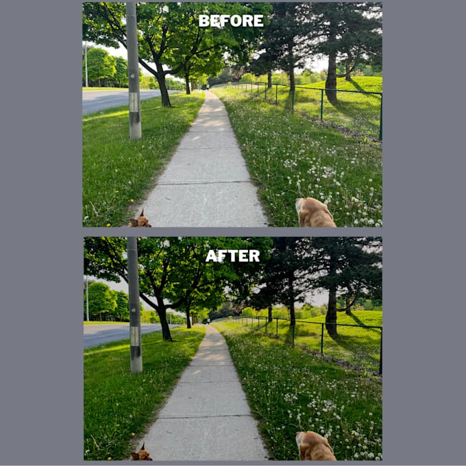 Enhance your photos to make them visually appealing by Amyusme | Fiverr