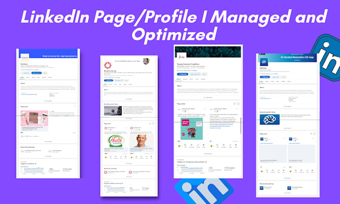 Be your linkedin page manager and optimize your profile by ...