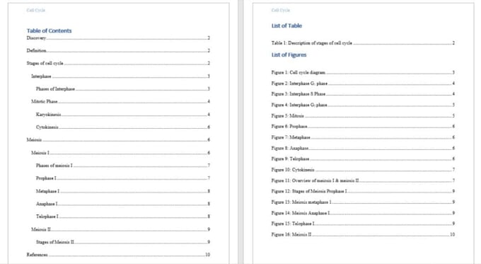 Create A Clickable Table Of Content Figures Table List And Solve Ms Word Page By Tayebayasin7