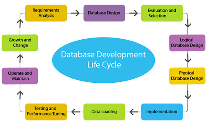 Create your database system design and development providing required ...