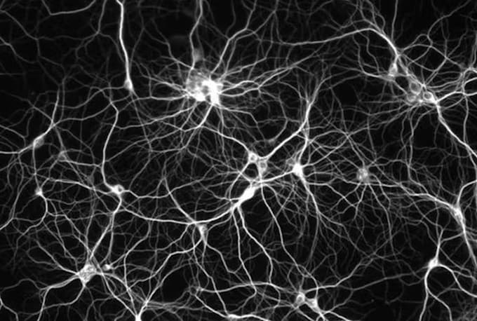 Do Python Exploratory Data Analysis Ml And Deep Learning By Prasanth7878 Fiverr