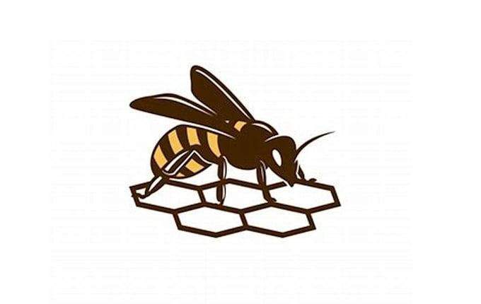 Design high quality bee logo with my creative thinking by Melissa_reed9 ...