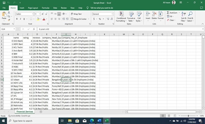 Do data entry basic, formulas, formatting, filters by Ahasan02 | Fiverr