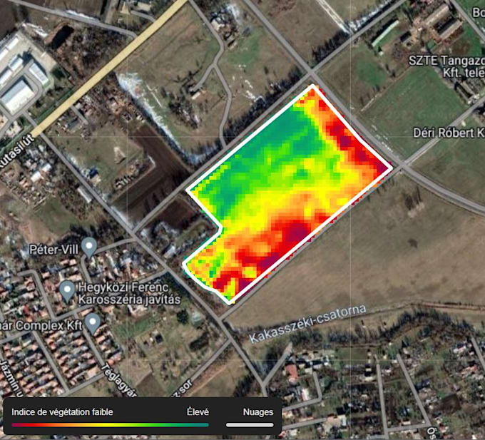 Perform gis mapping using arcgis to get ndvi maps by Aminemandid | Fiverr