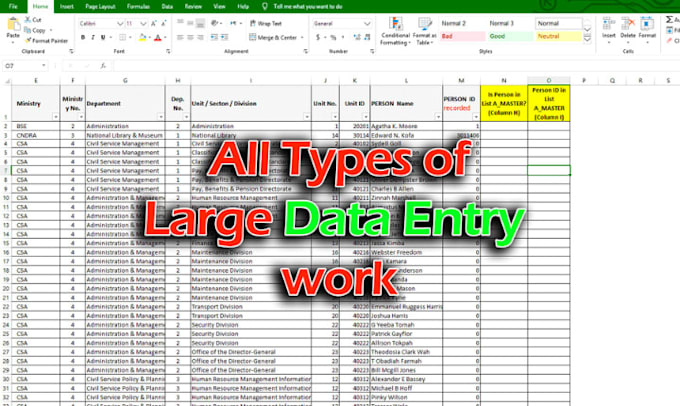 Do perfect data entry, web research and copy paste by Sibtealiboxer ...