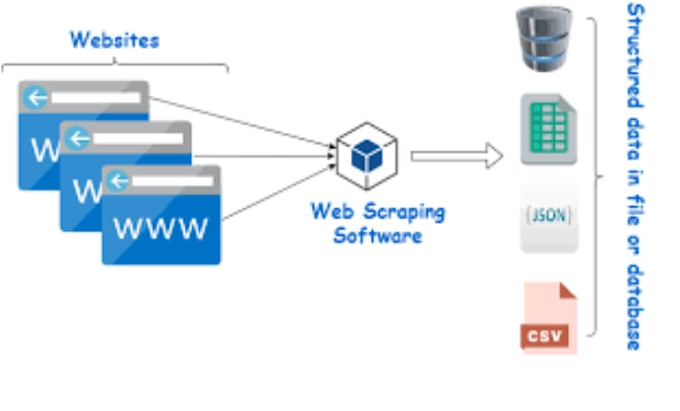 Build you a webscraper for any website by Leothelion1997 | Fiverr
