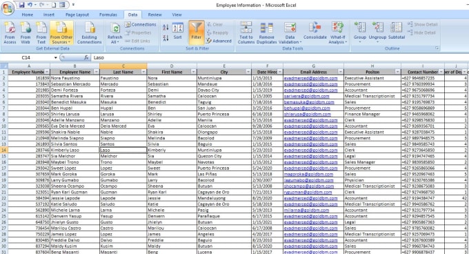 Clean your excel contacts database by Teresalu03 | Fiverr