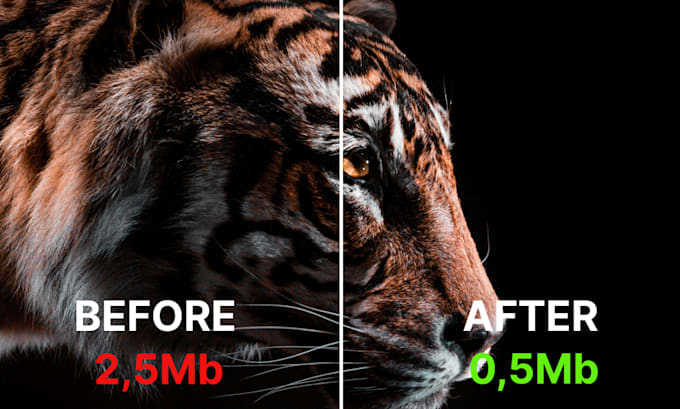 Convert any image to webp format to super optimize the load time of your website by Santiagoisra ...