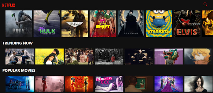 Be website front end developer and designer using next js react html css by Areez_ali | Fiverr