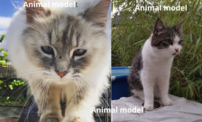 Create a fantastic 3d realistic animal model for 3d realistic animal ...