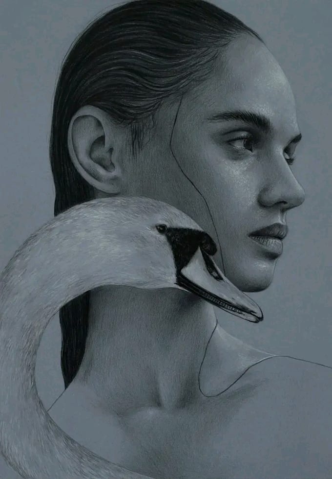 Draw amazing realistic drawing, realistic illustration, realistic ...