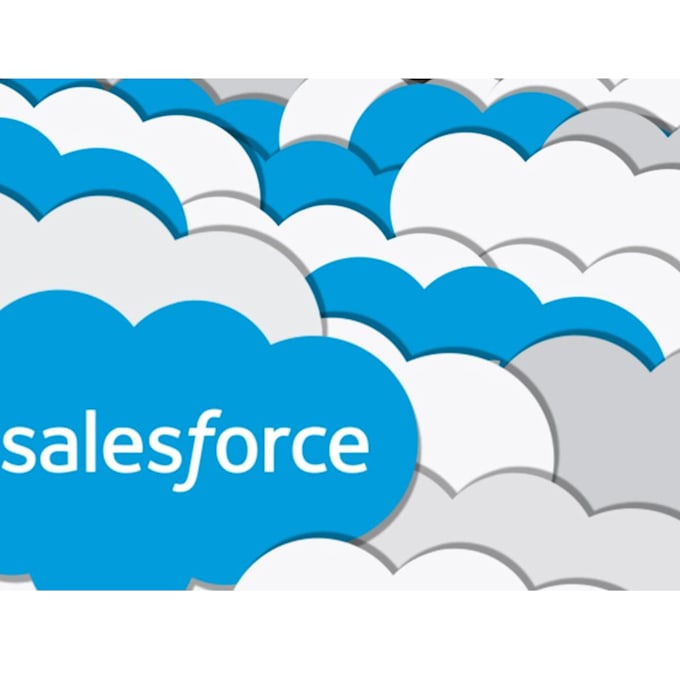 Provide Developer For Salesforce Development Configuration Admin And