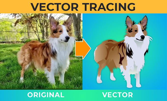 Do manual vector tracing, vectorize, redraw illustrator work by ...