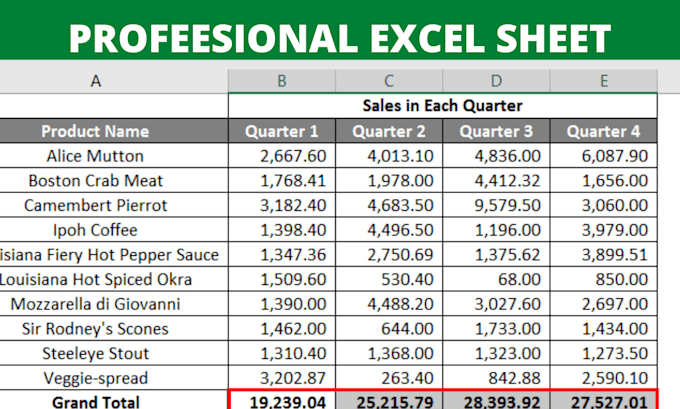 Create professional excel sheet with formulas by Aliza_ms12 | Fiverr
