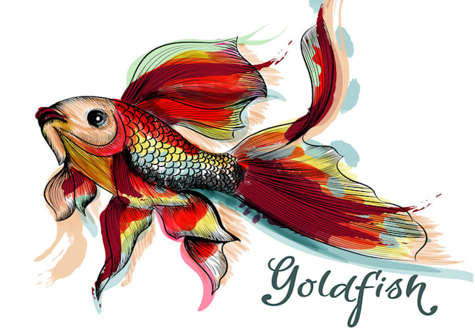 Create your goldfish logo design with fastest delivery by Vandula_hard ...