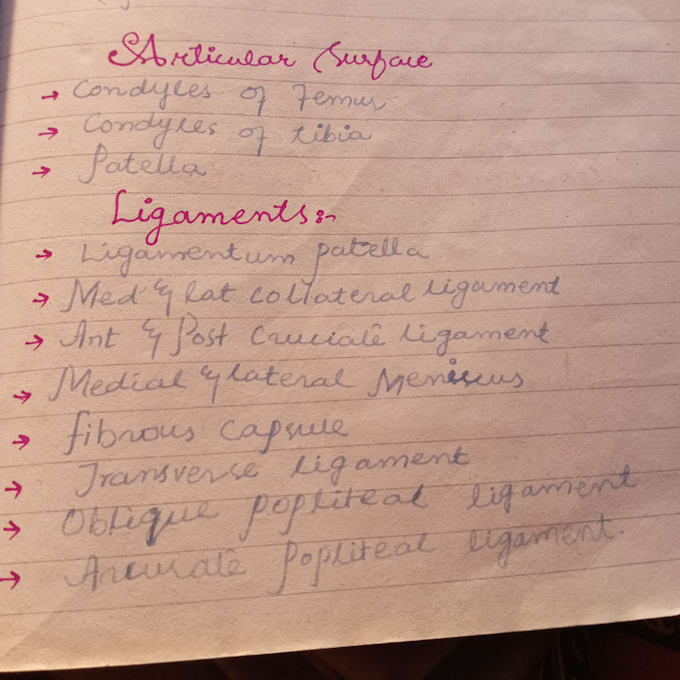 Convert digital notes into handwritten notes in a clear neat and clean ...