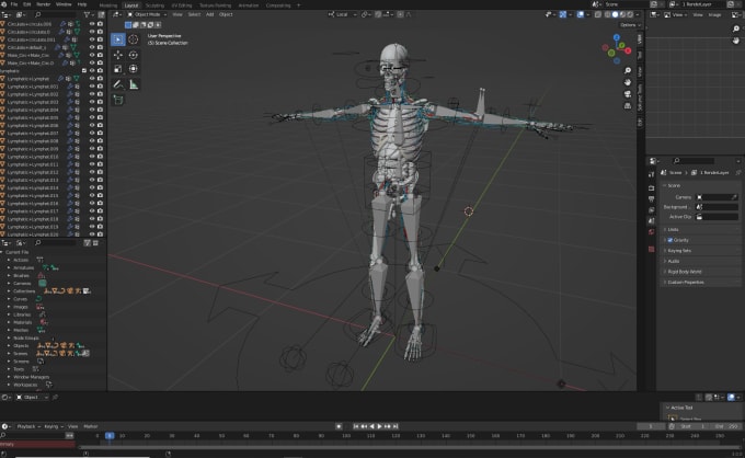 Rig your any 3d model in blender 3d by Hdm786 | Fiverr