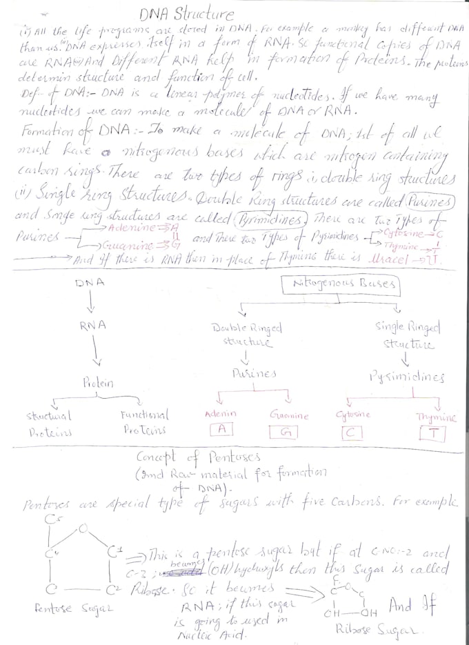 Solve Biology Related Problems By Banxsh Fiverr