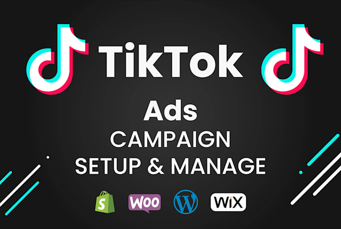 Run and manage tiktok ads campaign, tiktok promotion, advertising, tik ...