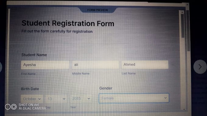 Do form filling projects by Madeehaazam | Fiverr