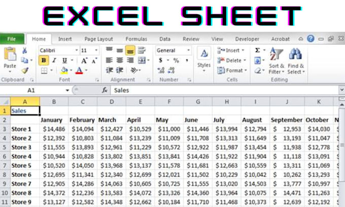 Create proffesional excel sheet and dashboard in 24 hours by Mairazaman ...