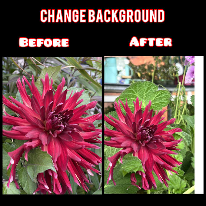 Remove backgrounds product photography image editing by Aqsajavaid04 ...