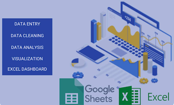 Do data entry cleaning analysis and visualization on excel and google ...
