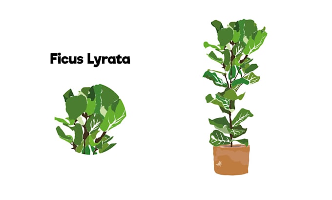 Draw vector plants and botanical illustration by Tayra_world | Fiverr