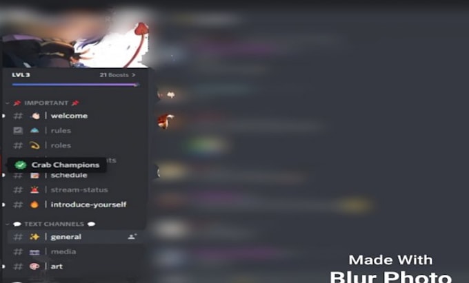 Create beautiful discord server with respect to your requirements by ...
