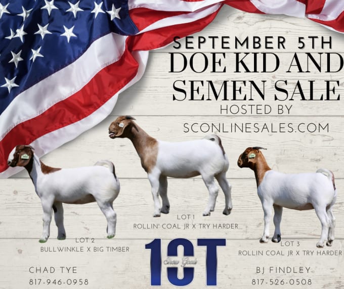 Make flyers for promotion of livestock livestock sales and jackpot ...