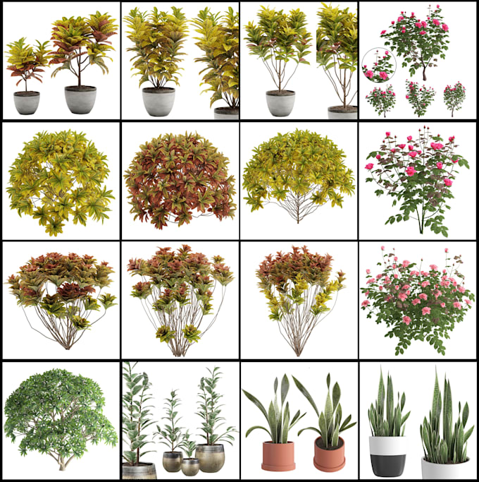 Create 3d plants in speedtree by Phuocha_arch | Fiverr